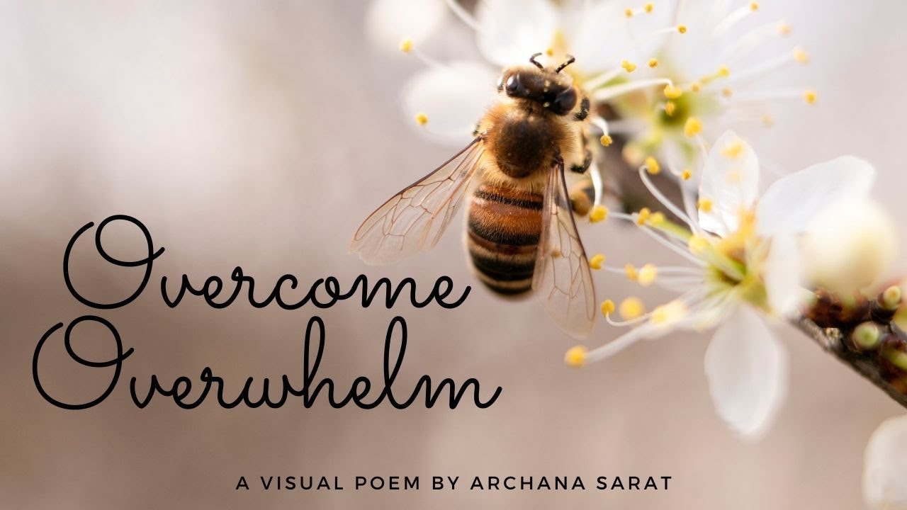 Overcome Overwhelm || Embracing Stillness || Inspiration for Writers ...