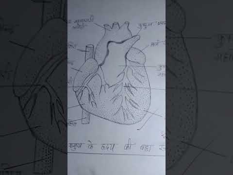 manav ke dil ka bahay saranchana - YouTube