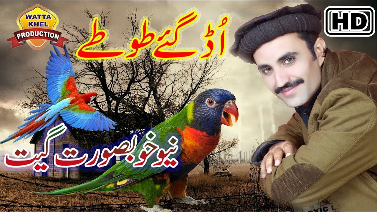 Ud gaye Totey | Singer Imran Niazi Paikhelvi | Punjabi & Saraiki Song ...