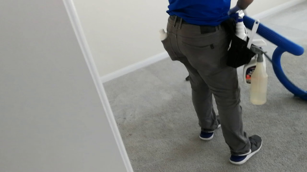 Exclusive home services Carpet cleaning using tmf black label - YouTube