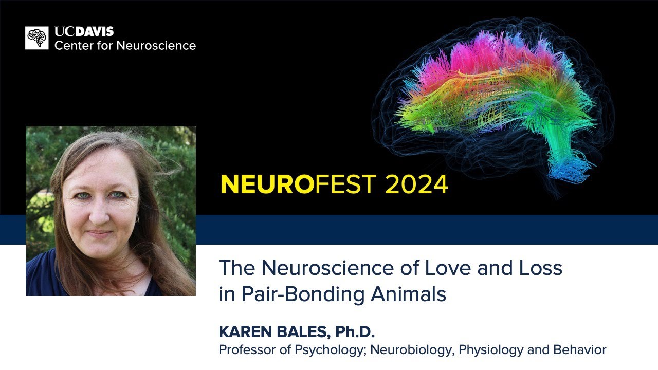 Karen Bales, Ph.D. — The Neuroscience of Love and Loss in Pair-Bonding ...