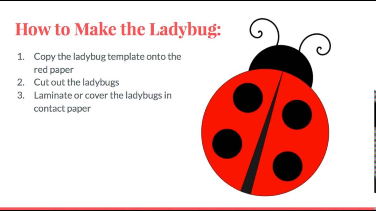 Kindergarten Math: Ladybug Number Recognition - YouTube