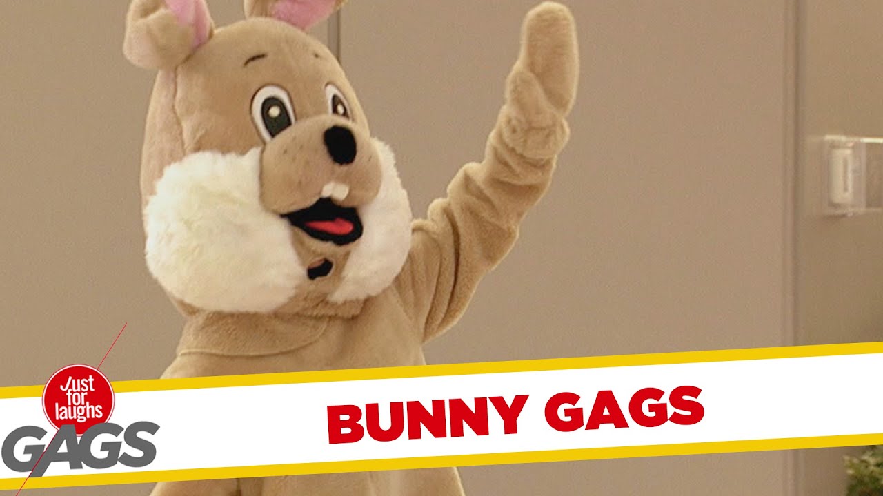 Easter Bunny Pranks - Best of Just For Laughs Gags - YouTube
