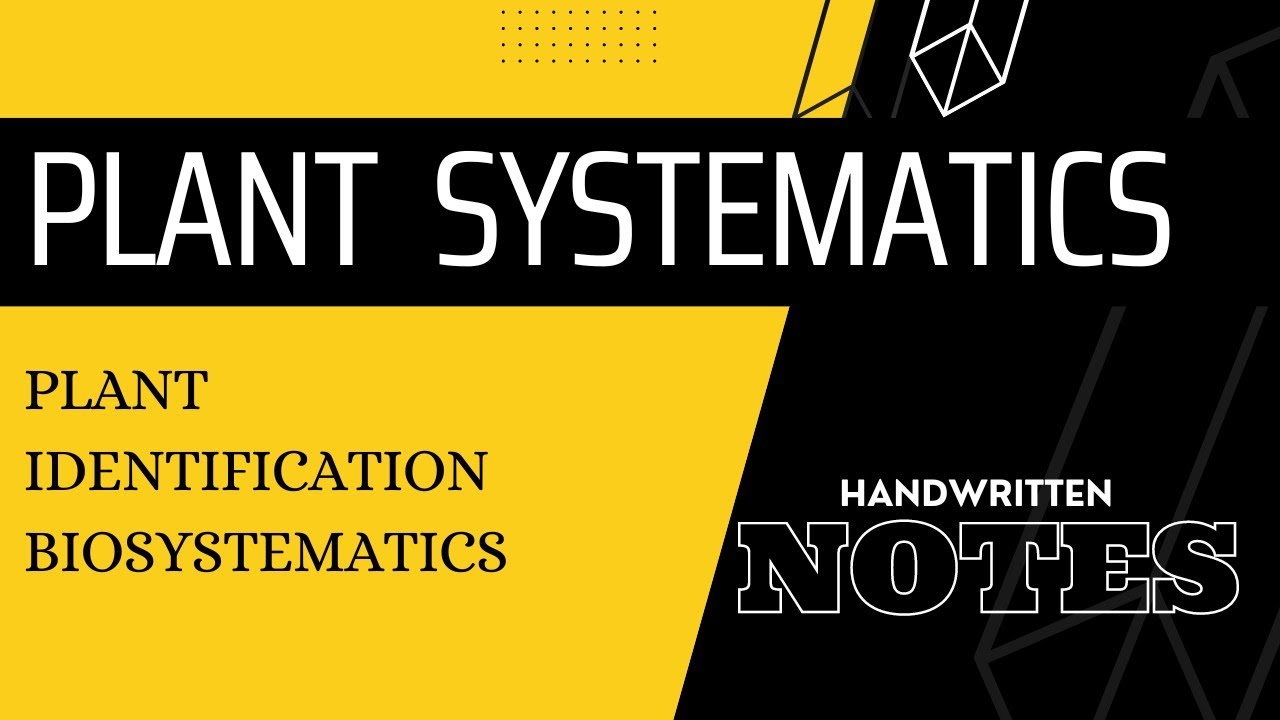 Mastering Plant Systematics : Your Complete BSc Botany Handbook - YouTube