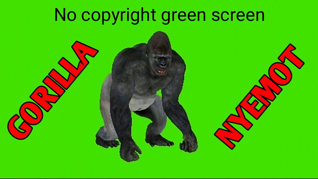 Green screen animation l green screen gorilla - YouTube