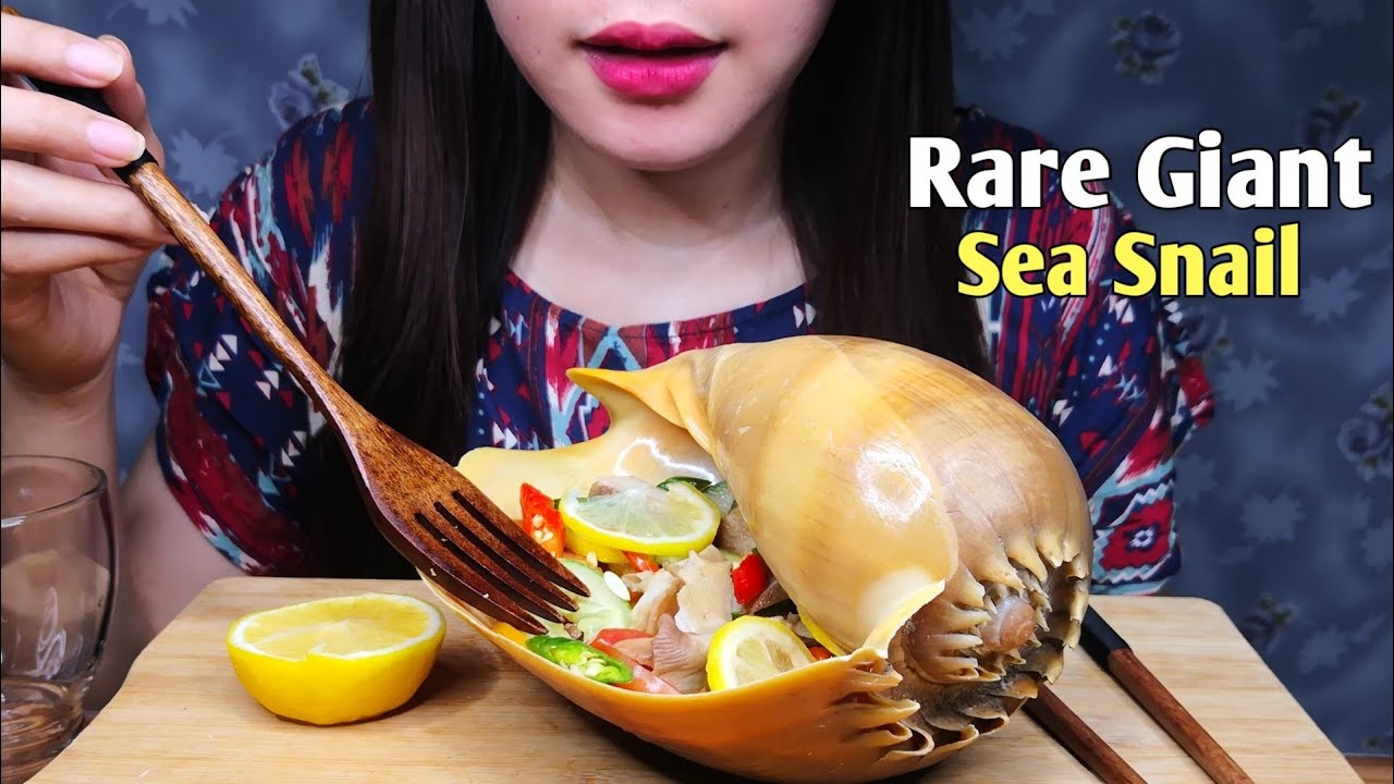 Monster Sea Snail Mukbang ASMR | Giant Sea Snail Pinoy Mukbang - YouTube