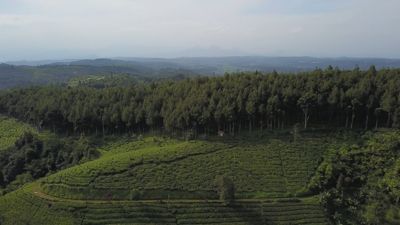 Footage Drone Cinematic Bukit Senyum Bandung Barat - View Gunung ...