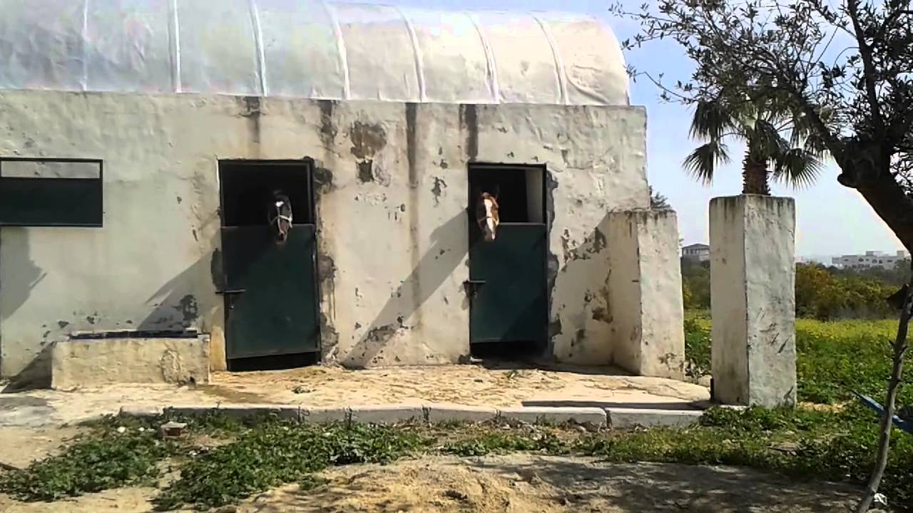 Nahli parc - YouTube
