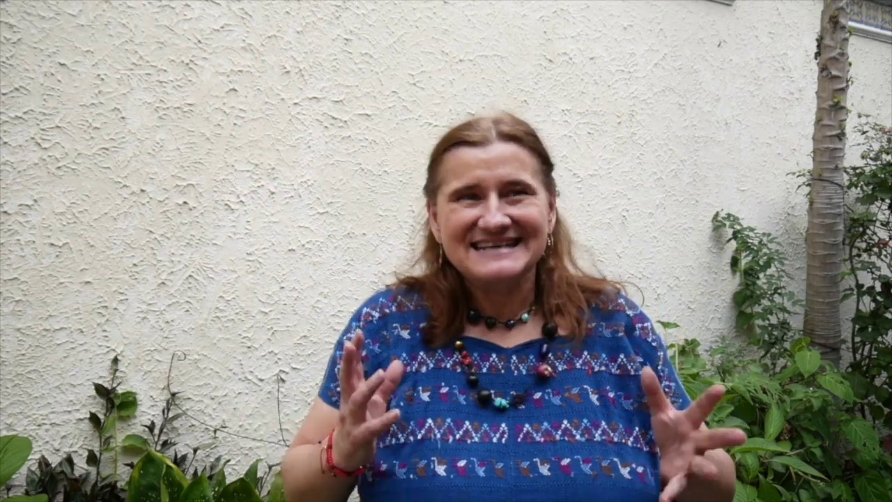 Programa Asesoría Técnica – Susanne Kummer, Guatemala - YouTube