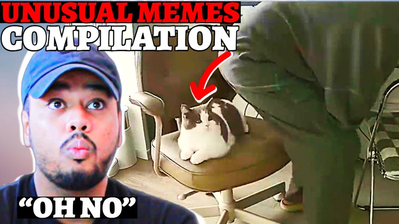 Unusual Memes Compilation - Reaction - YouTube