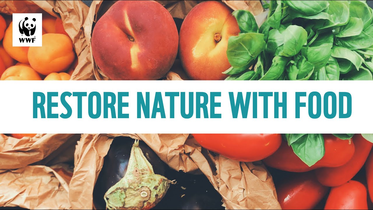Restore Nature with FOOD! - YouTube