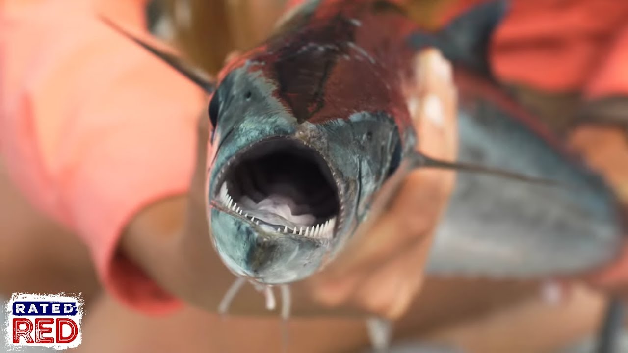 Nissan Takes Us On a Florida Fishing Adventure - YouTube