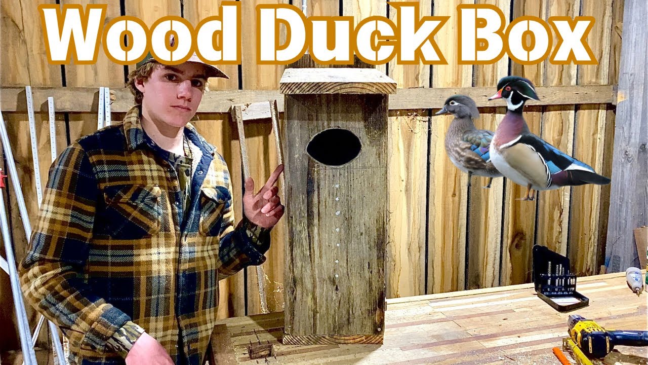 How To Build a Wood Duck Box - YouTube