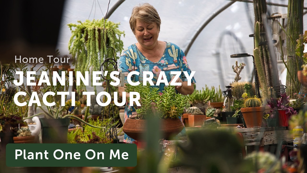 Crazy. Cacti. Chaos: SUCCULENT & CACTI TOUR with Jeanine — Ep. 421 - YouTube