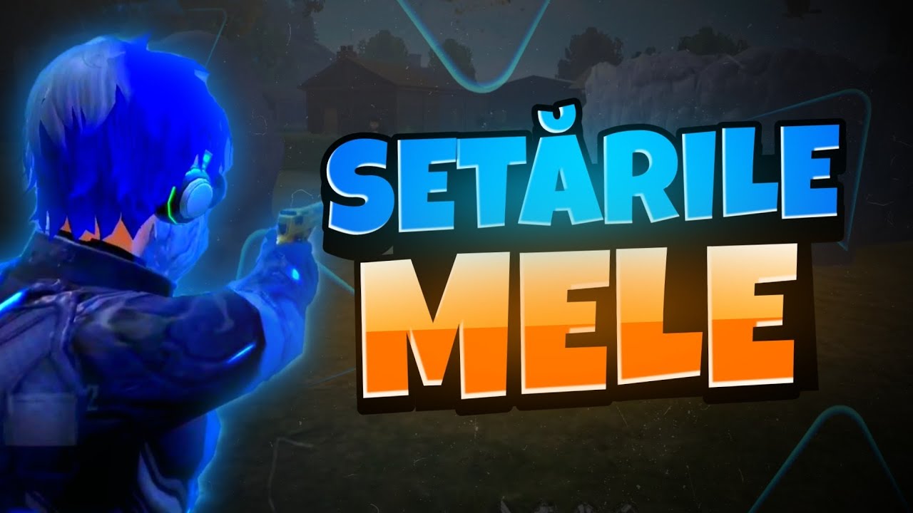SETĂRILE MELE DE PE FREE FIRE [ SPECIAL 4 ANI DE YOUTUBE ] | Garena ...