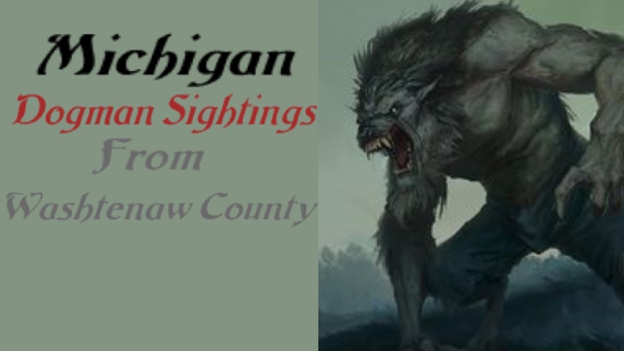 Michigan Dogman Sighting From Washtenaw County - YouTube