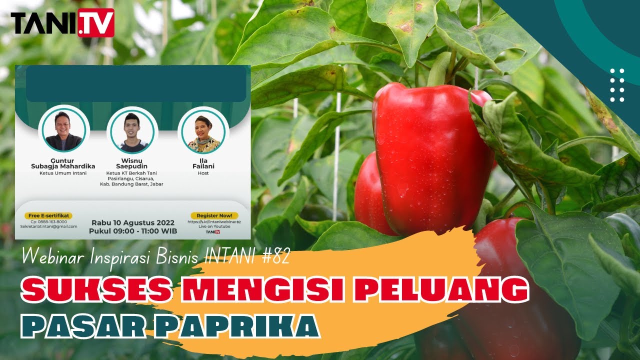 WEBINAR INSPIRASI BISNIS INTANI #82 SUKSES MENGISI PELUANG PASAR PAPRIKA - YouTube