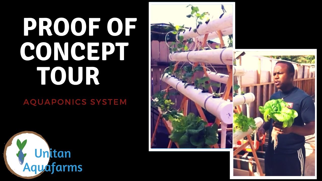 Aquaponics A-Frame - Proof of Concept Walkthrough - YouTube