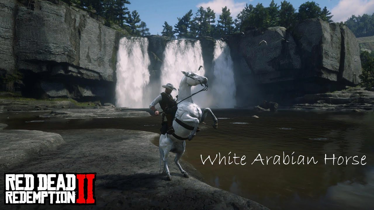 Red Dead Redemption 2 | Rare White Arabian Horse - YouTube