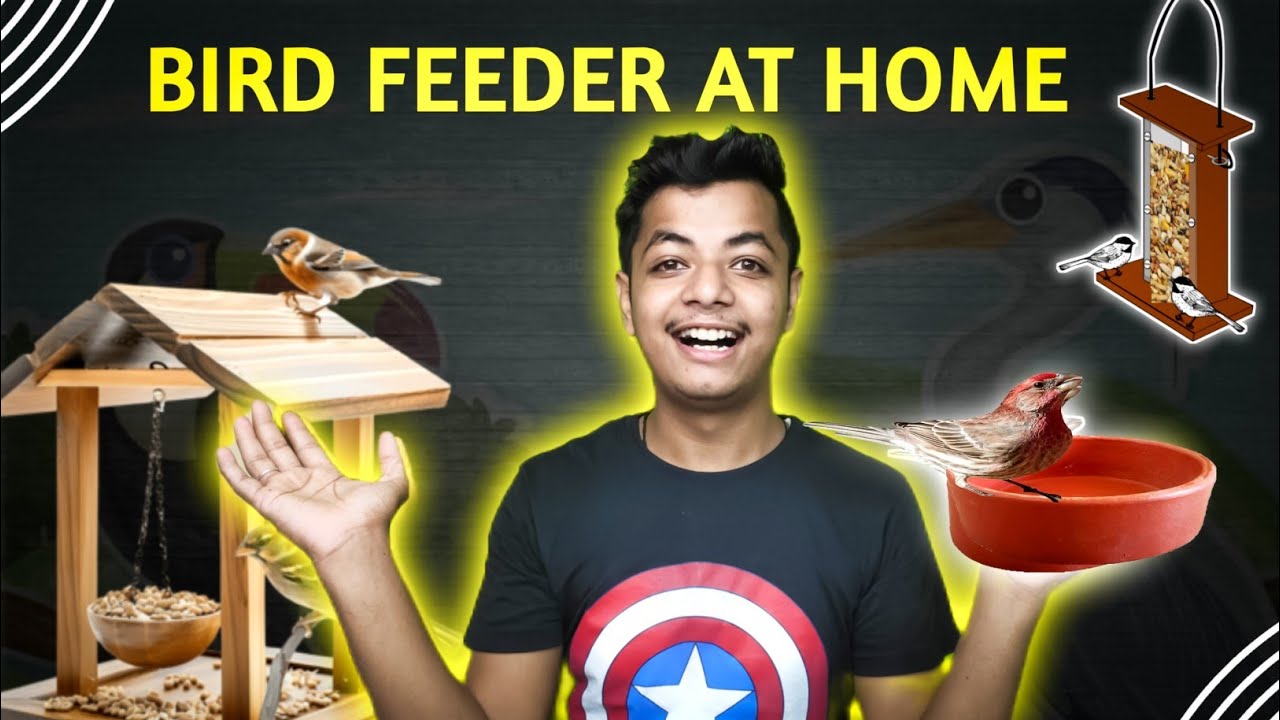 How To Save Birds In Summer 🏝️ गर्मियों में ये नेक काम जरूर करें ...