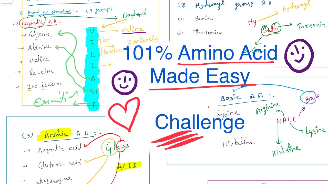 Amino Acid made EASY to Remember || Classification of Amino Acid ...