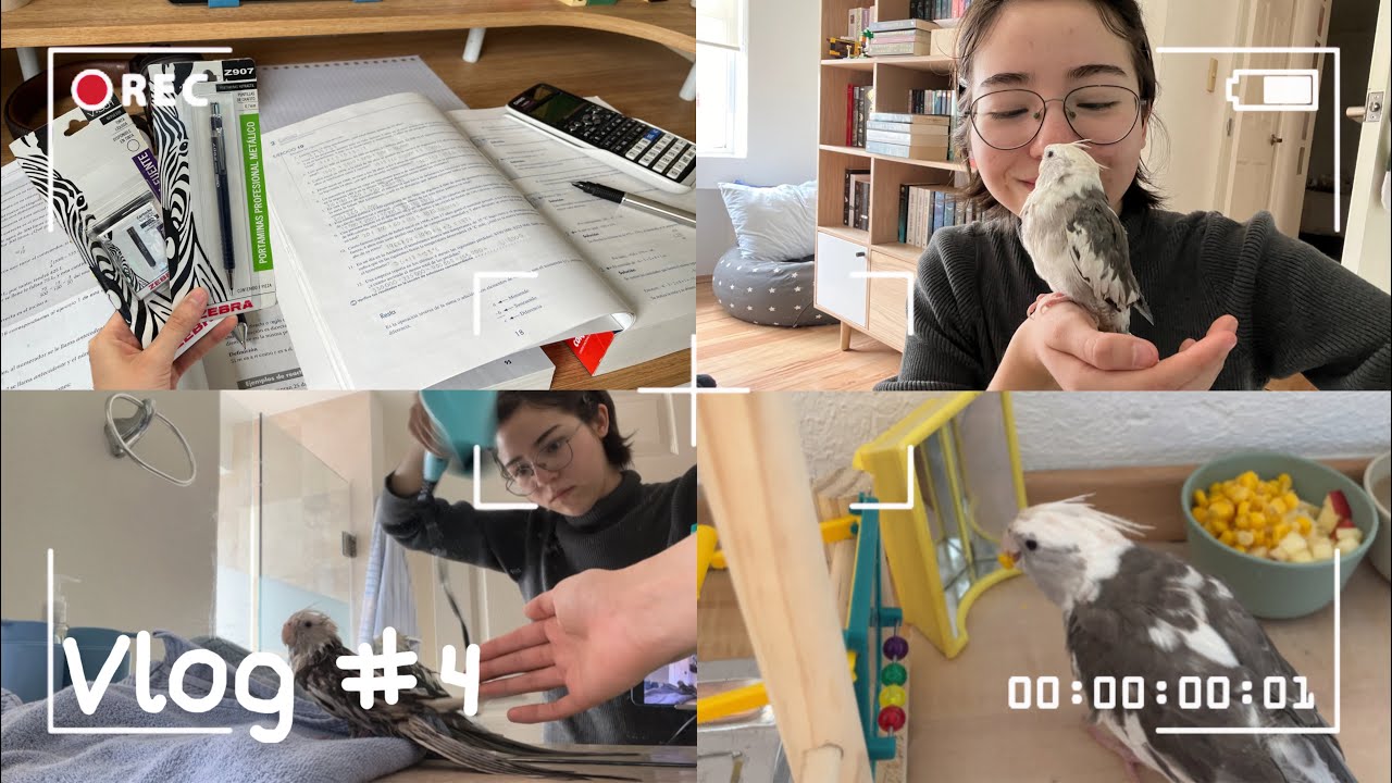 UN DÍA MUY PRODUCTIVO :) Emily Rangel - YouTube