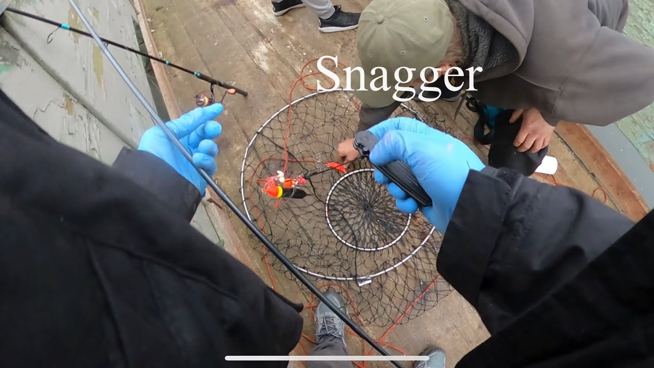 Snagger Caught and Confronted While Fishing for COHO - YouTube