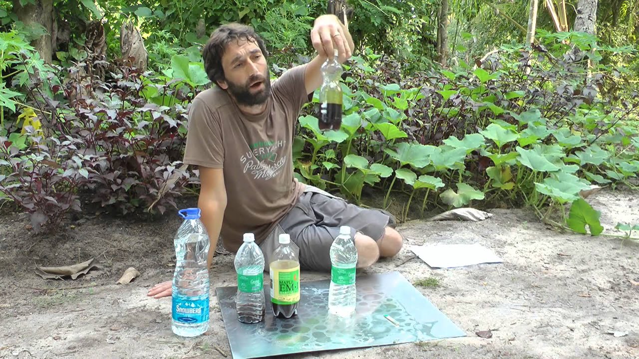 How to make activated effective microorganisms - YouTube