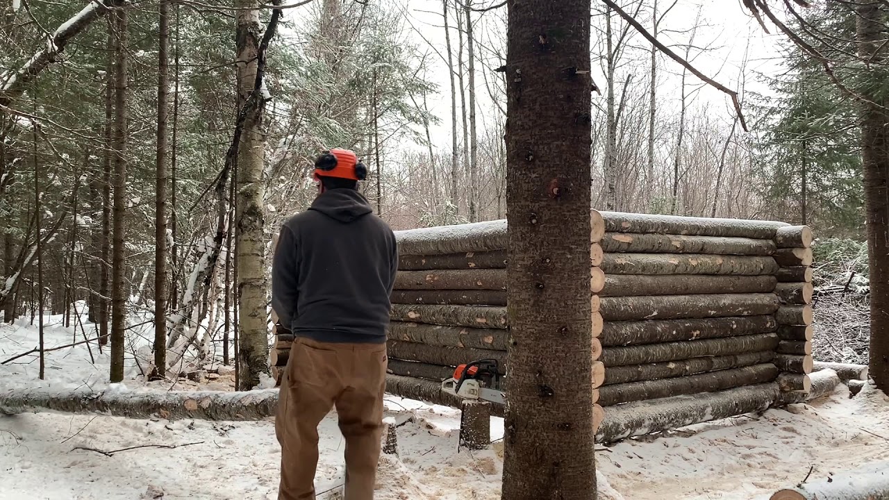Small log cabin build. (Day 9) Logging by hand - YouTube