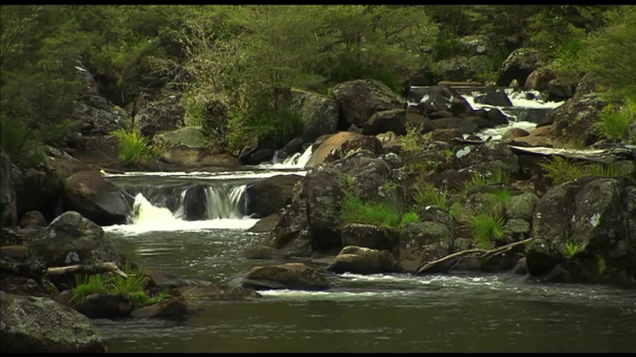 Kayaking on Barrington River | NSW National Parks - YouTube