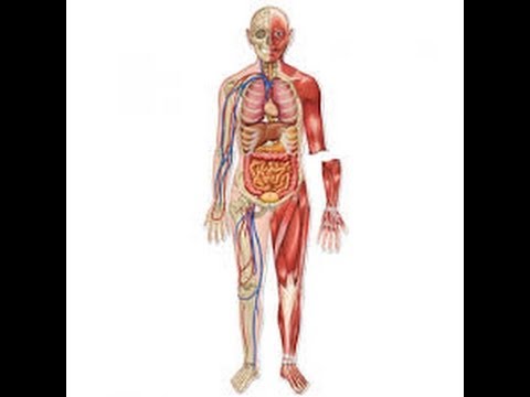 Autopsy/Investigation 101 and the CSI Effect - Tim Stepetic - YouTube