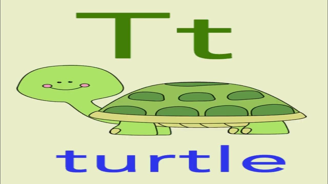 letter t (story,sound, words,song,blending) jolly phonics - YouTube