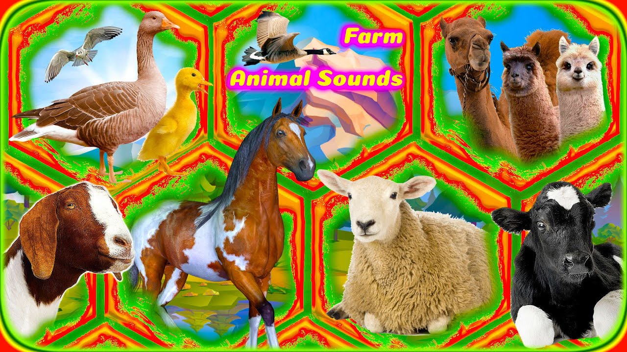 What Animal Makes That Sound? | Learn with Fun! 🎧 Wild and Domestic ...