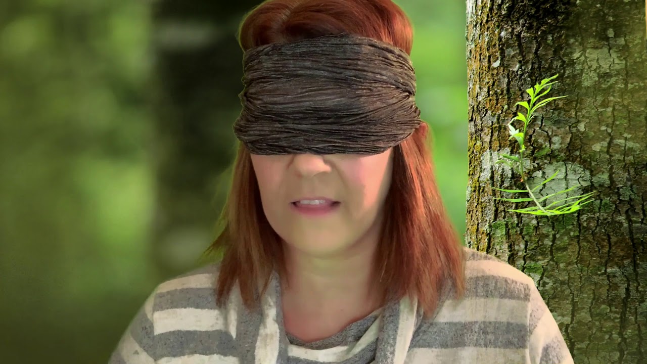 Review of Netflix's Bird Box - YouTube