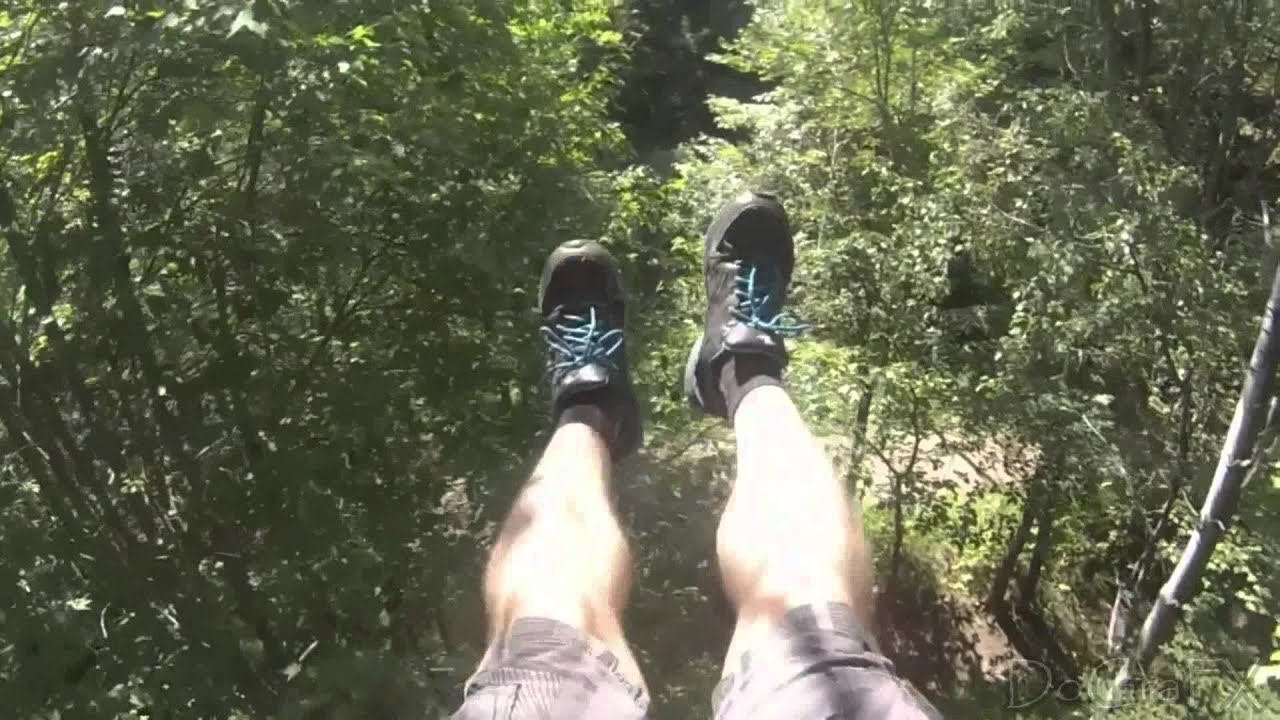 TreeGo Moncton NB - YouTube