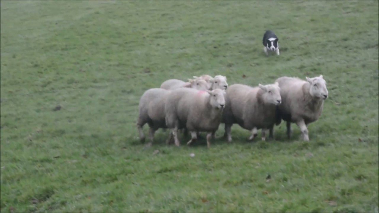 Malcom Ellis - Rob - YouTube