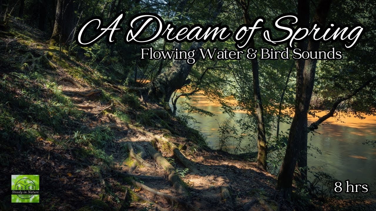 A Dream of SPRING by the RIVER - Flowing WATER & BIRDS SOUNDS -- Sleep ...
