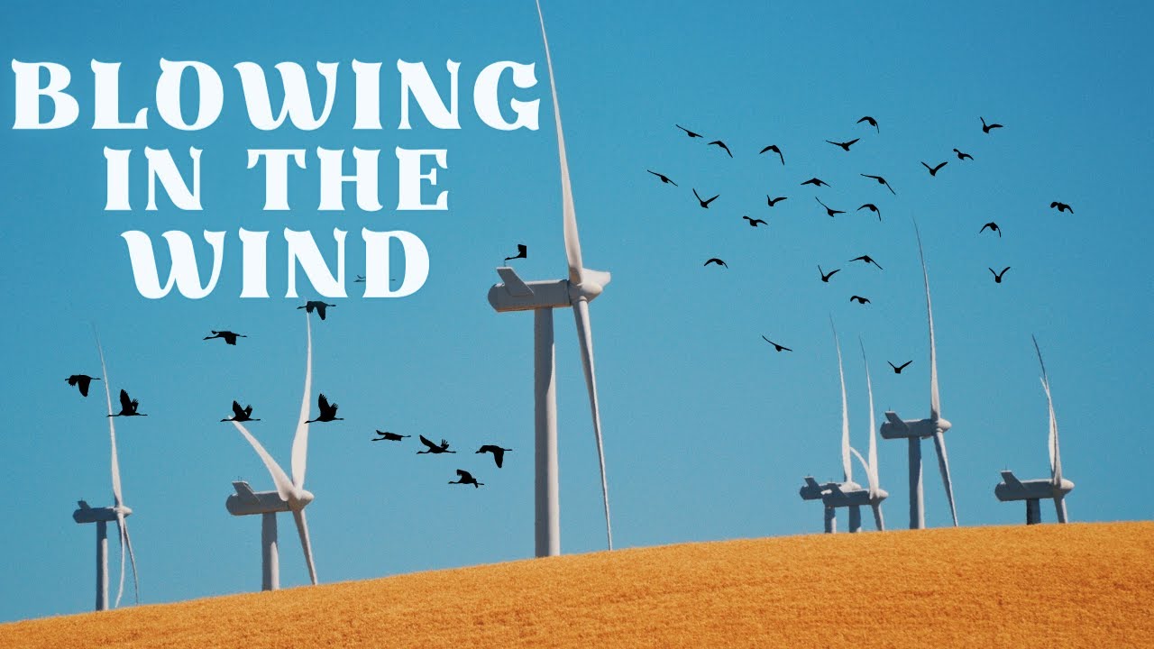 Blowing in the Wind - YouTube