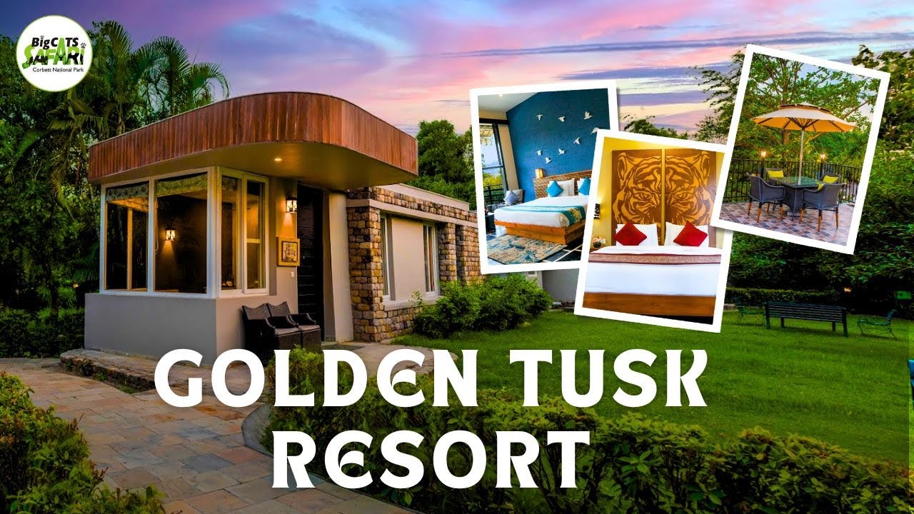 The Golden Tusk Resort Jim Corbett - Luxury Stay Into The Nature. - YouTube