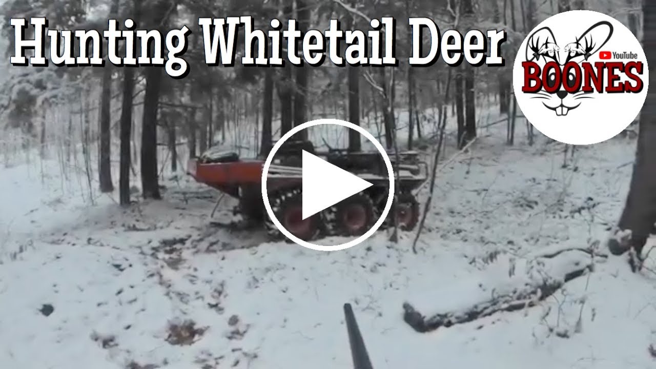 Rifle hunting whitetail deer - YouTube