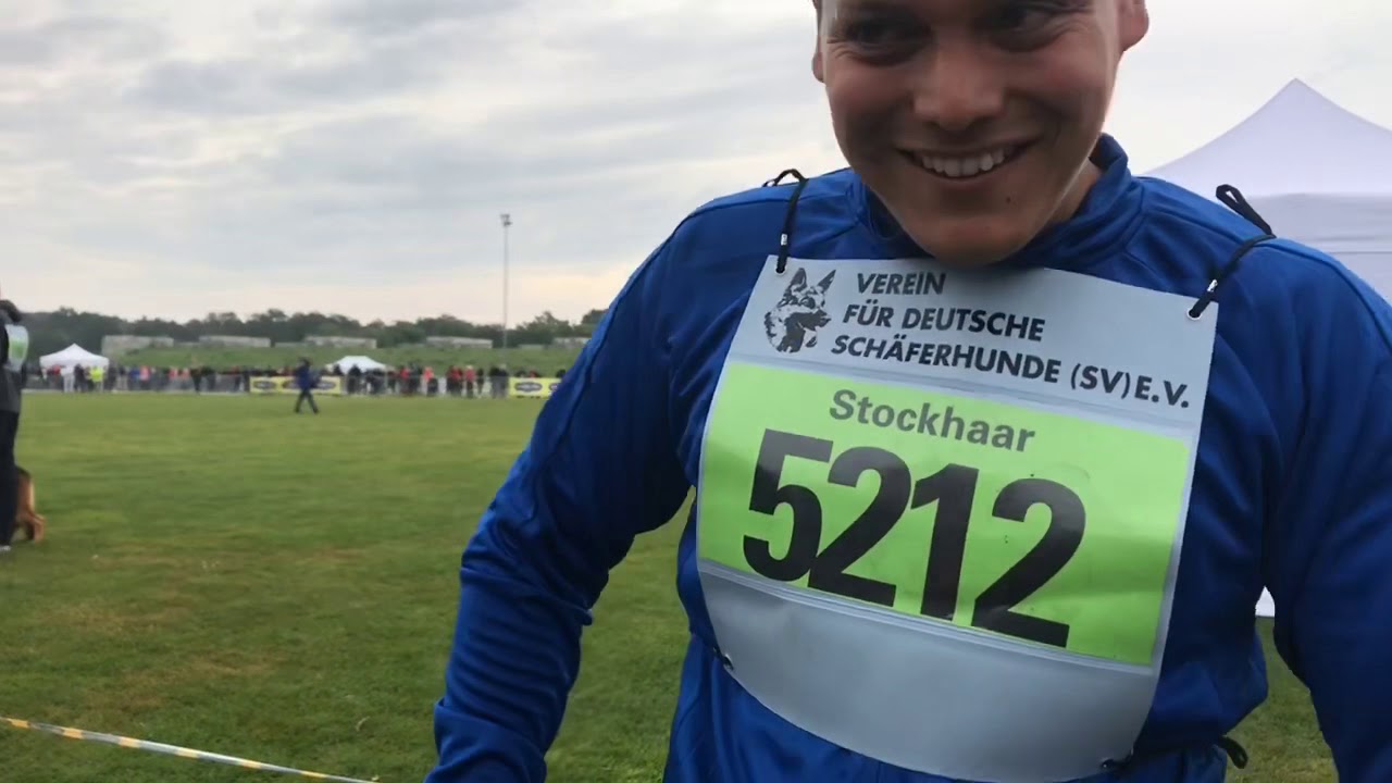 Top young male at the 2019 Seiger Show handled by on of Australia’s top ...