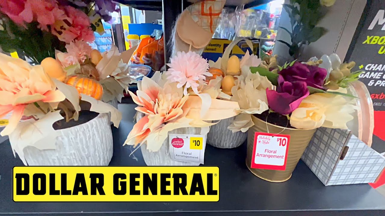 Dollar General Shopping 🛒 Fall Decor 🍁🍂Christmas Decorations 🎄Shop with ...
