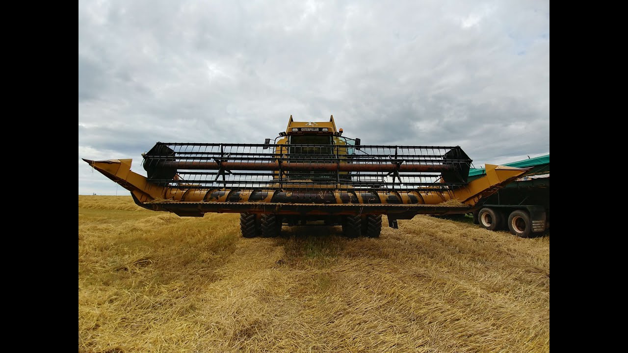 Cat Lexion 470 Combining Pea / Mustard Interseed - YouTube