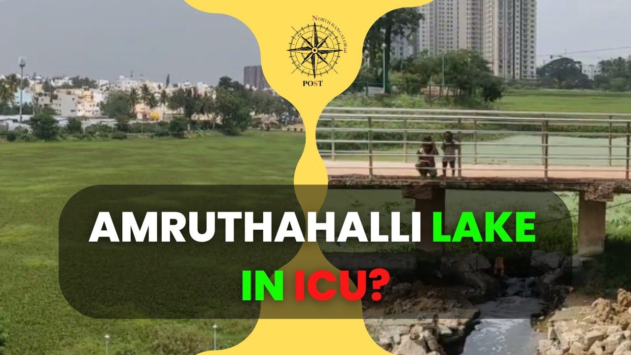 Amruthahalli Lake I Lakes of North Bangalore I BBMP Commissioner I ...