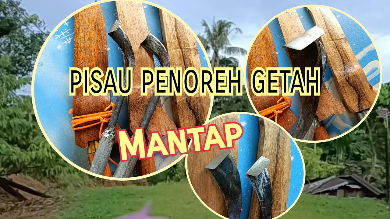 pisau penoreh getah daripada watie channel. - YouTube
