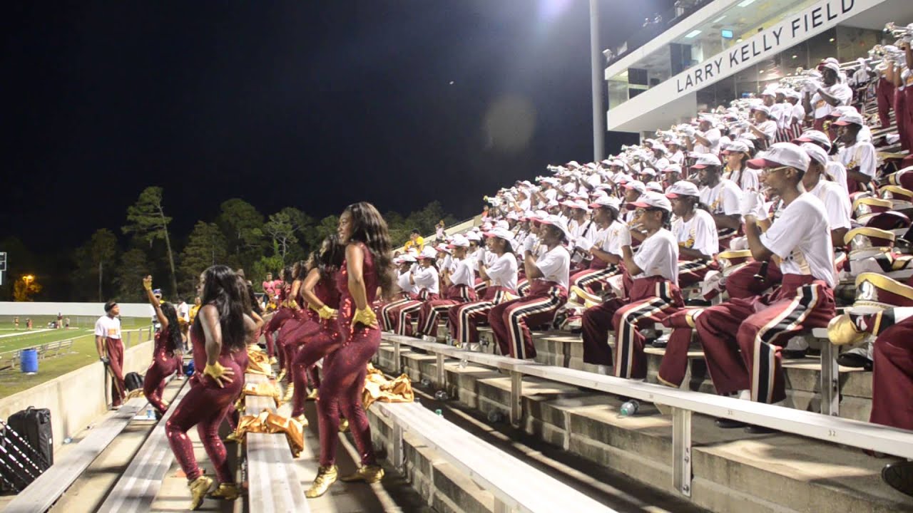 Bethune-Cookman Marching Wildcats - 10-19-2013 {wwt-vga} - YouTube