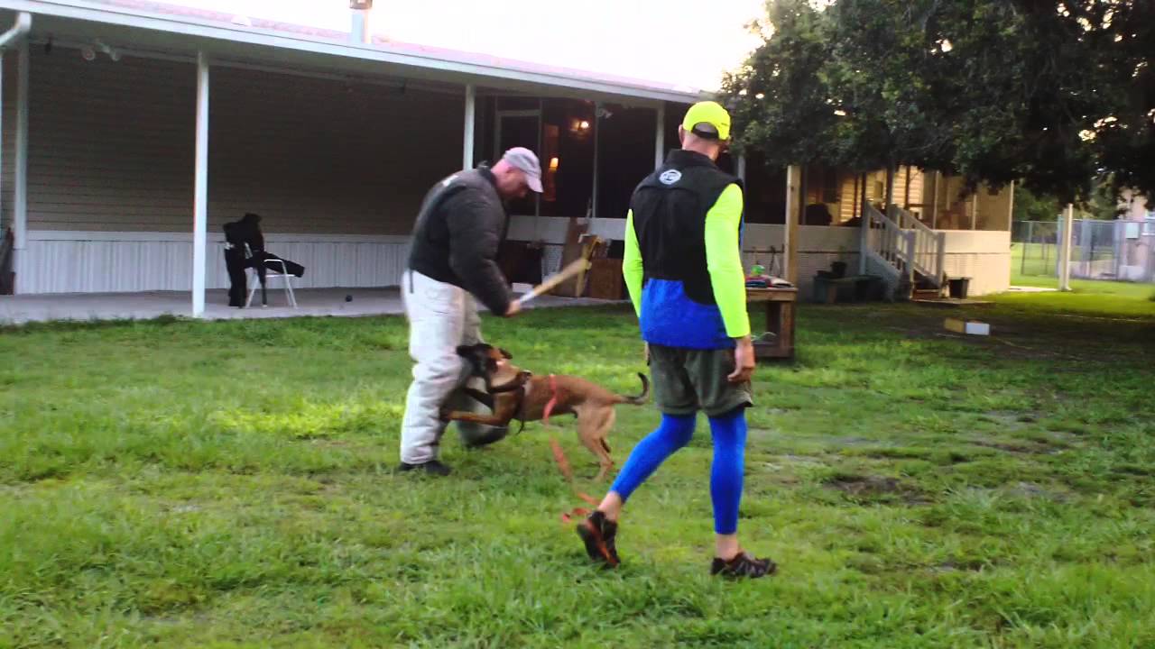 power midget @ 6 months - YouTube