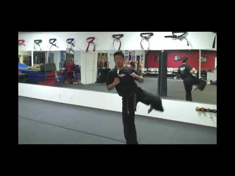 How to Do a Hook Kick in Martial Arts - YouTube
