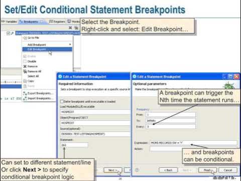 RDz Workbench Debugging zOS COBOL - YouTube