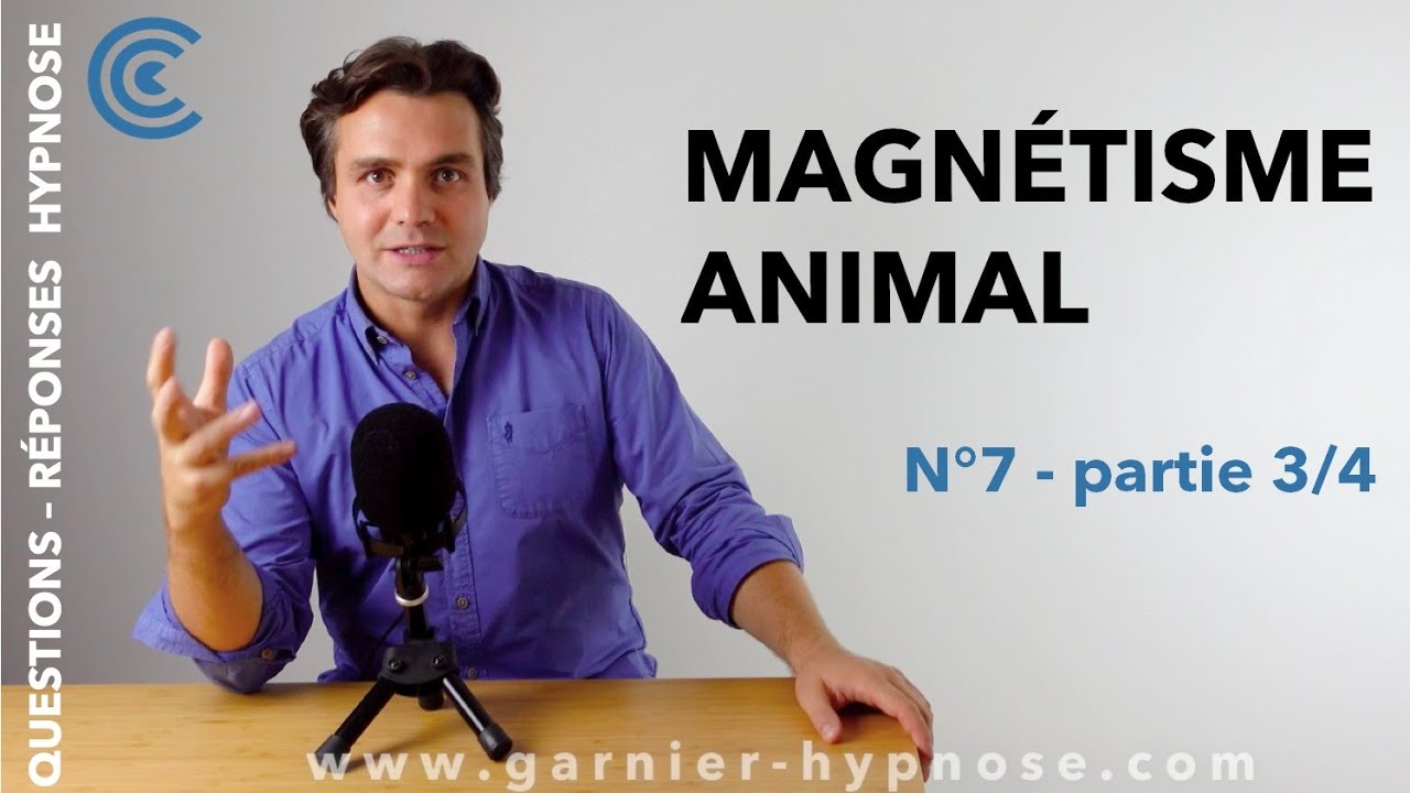 QRH#7 - partie 3/4 MAGNÉTISME ANIMAL - YouTube